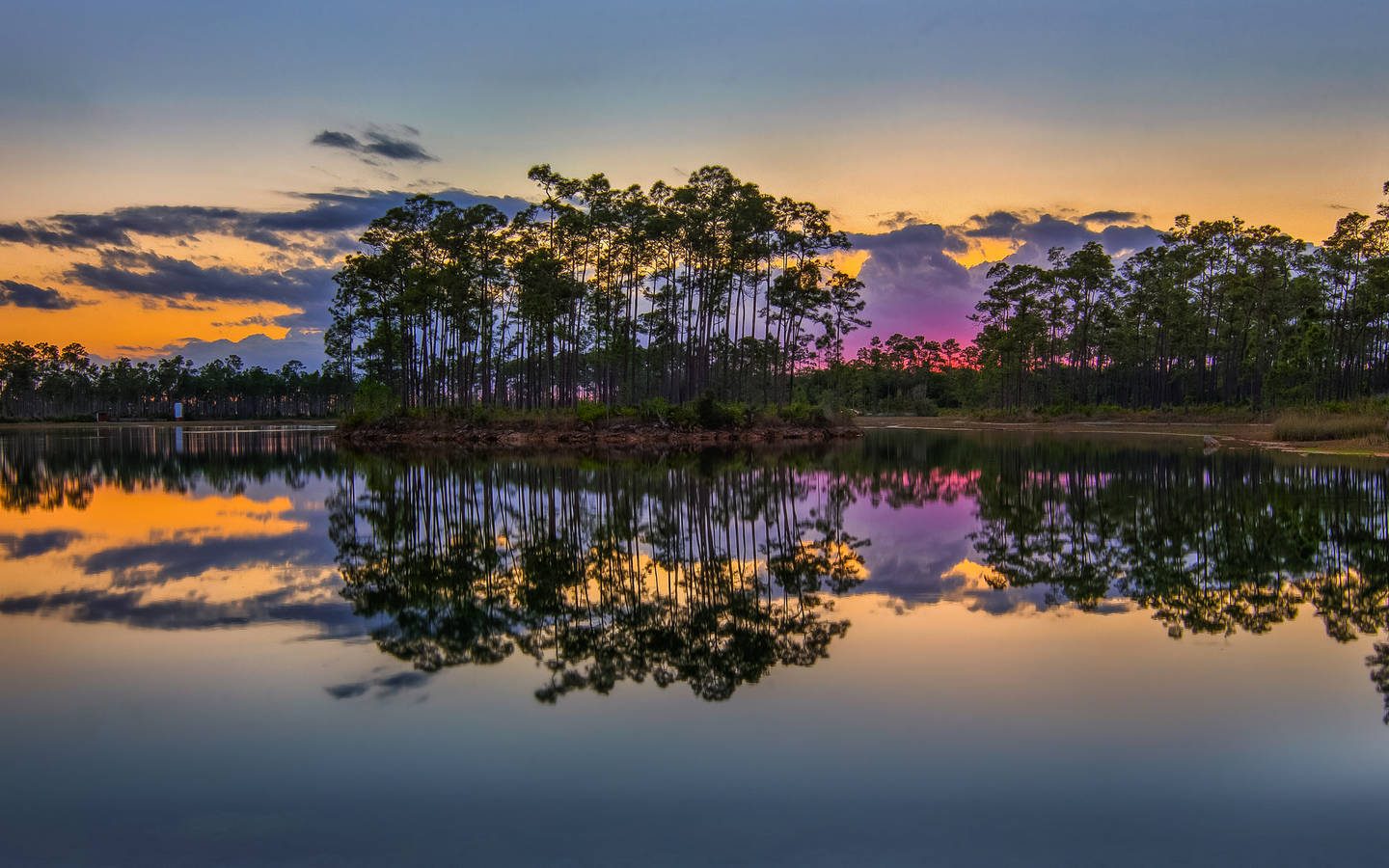 Experiences: Beautiful Parks of Florida - Carolina Graff